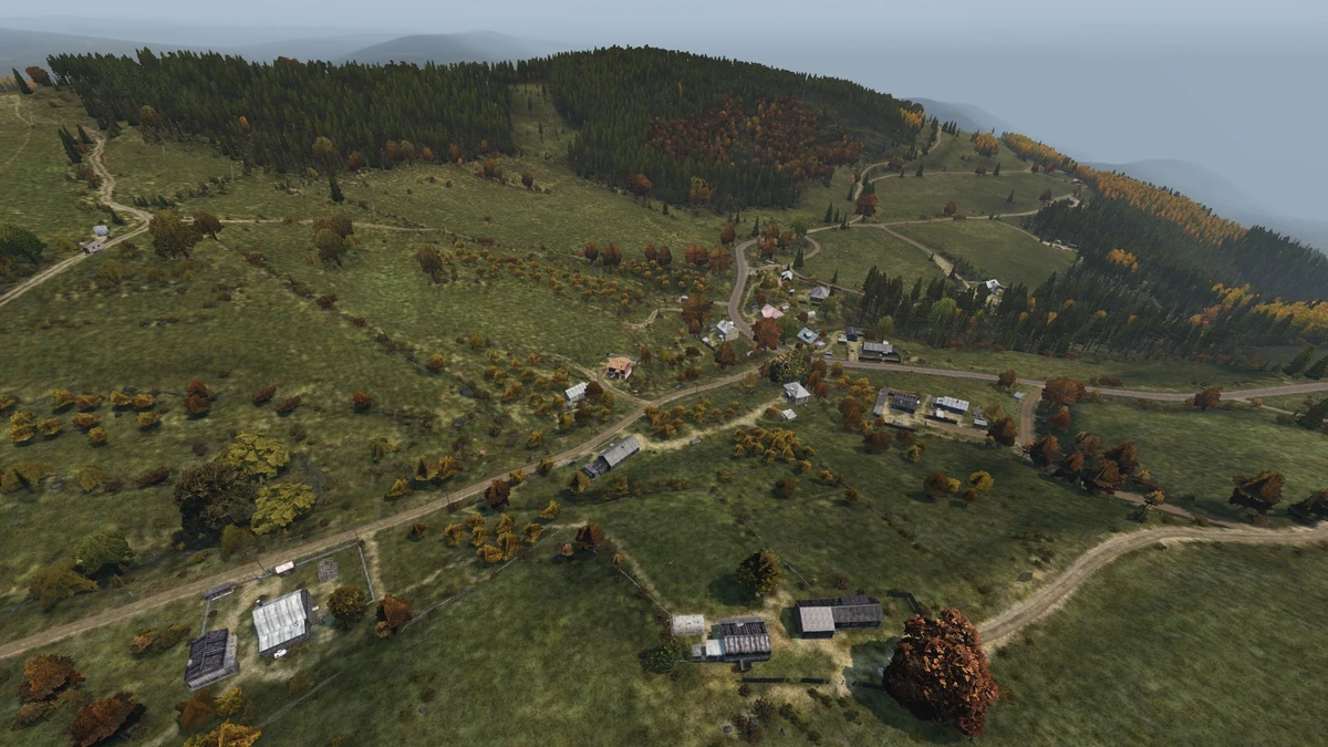 Bor - DayZ Wiki