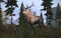 Stag - DayZ Wiki