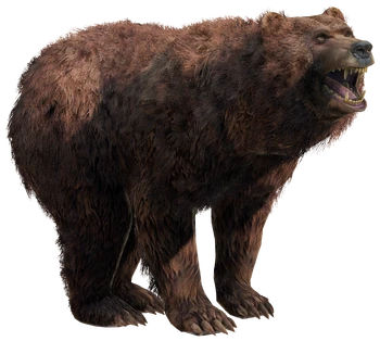 Bear - DayZ Wiki