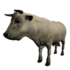Bull - DayZ Wiki