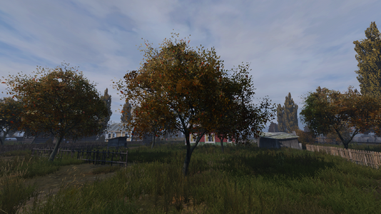 Apple Tree - DayZ Wiki