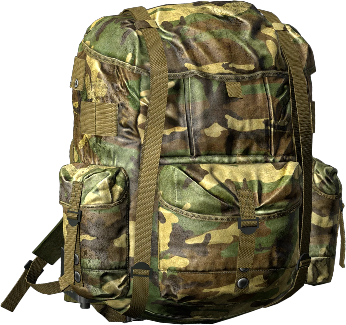 Field Backpack - DayZ Wiki