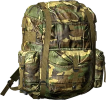 Field Backpack - DayZ Wiki