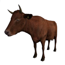 Cow - DayZ Wiki