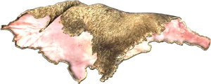 Sheep Pelt - DayZ Wiki