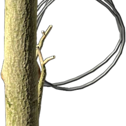 how to make traps dayz