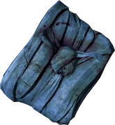 Armband - DayZ Wiki