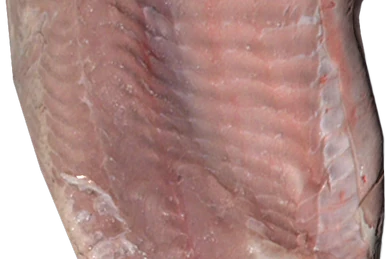 how to cook chicken dayz 0.63.html.html.html.html.html.html.html.html.html.html.html.html.html.html.html.html.html.html.html.html.html.html.html.html