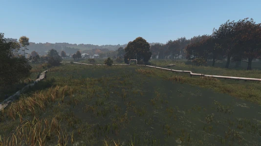 Balota Swamp - DayZ Wiki