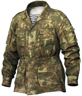 Combat Jacket - DayZ Wiki