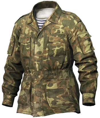 Combat Jacket - DayZ Wiki