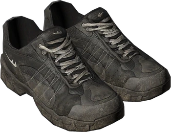 Trail Shoes - DayZ Wiki