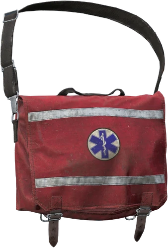 Canvas Bag - DayZ Wiki