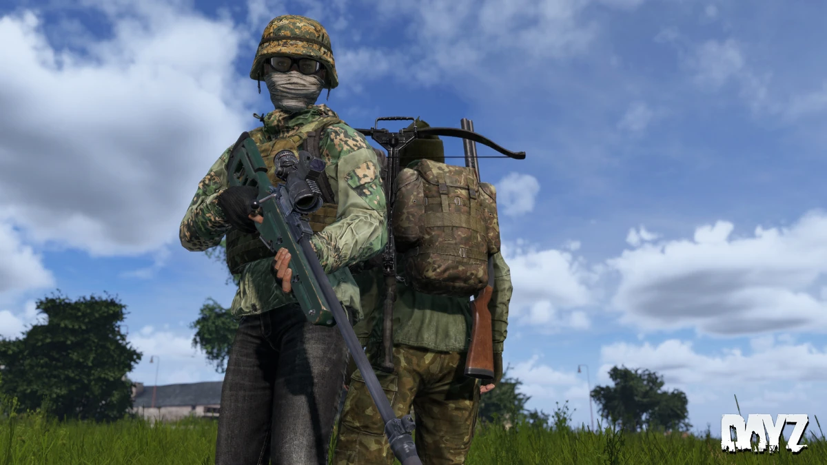 DayZ Wiki/Flex section - DayZ Wiki