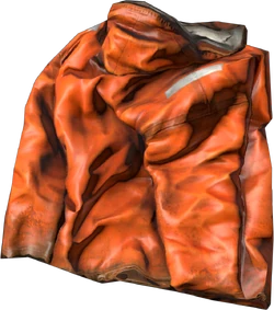 Dayz Raincoat