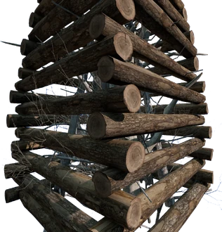 Bonfire - DayZ Wiki