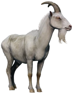 Goat - DayZ Wiki