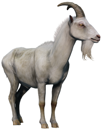 Goat - DayZ Wiki