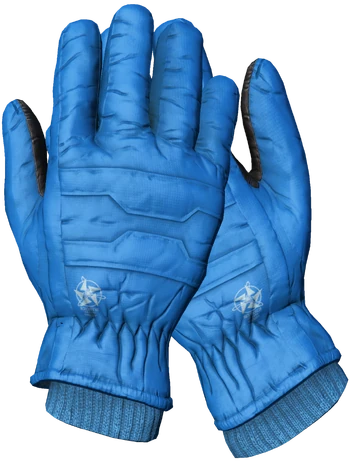Ski Gloves - DayZ Wiki