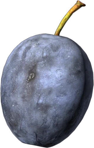 Plum - DayZ Wiki