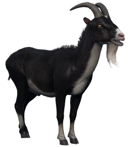 Goat - DayZ Wiki