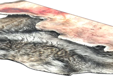 how to make tanned leather dayz