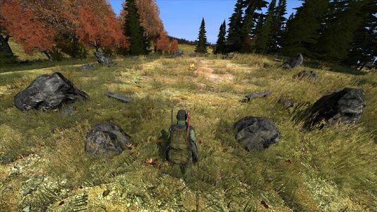 Grand Campfire Circle - DayZ Wiki