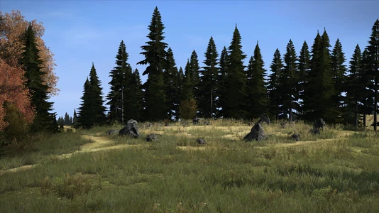 Grand Campfire Circle - DayZ Wiki