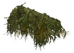 Ghillie Rifle Wrap - DayZ Wiki
