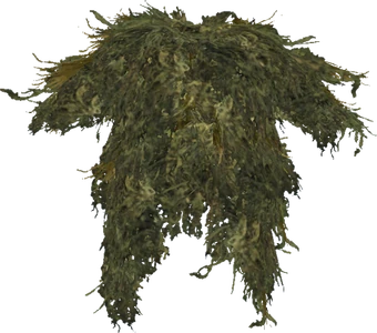 Ghillie Cloak - DayZ Wiki