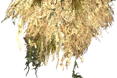 how to make ghillie wrap dayz