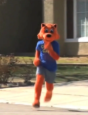 Saviour of the Kids Cool Cat | Dokfan Battle Wiki | Fandom