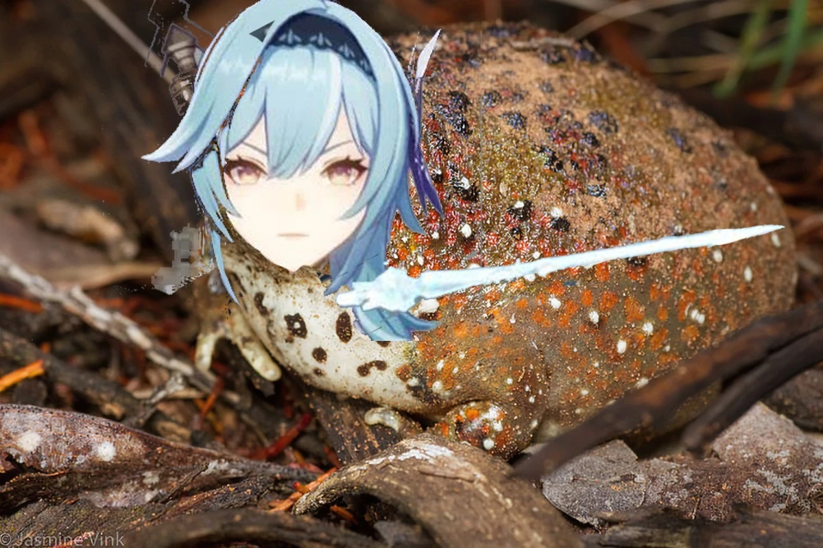 Vengeance will be... the frog's? (Eula edit) | Fandom