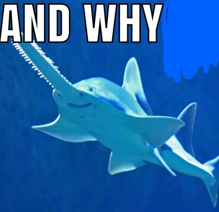 What if Miranda Cosgrove is the new voice of Ruby Rose? | Fandom