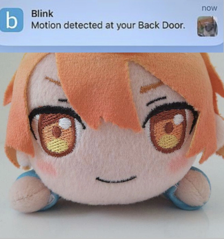 world future star!!! | Fandom