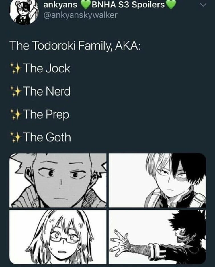 The todoroki siblings | Fandom