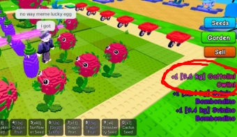 I JUST ROLLED A MEME LUCKY EGG I GOT FROM RANDOM SPAWNING AND I GOT ...