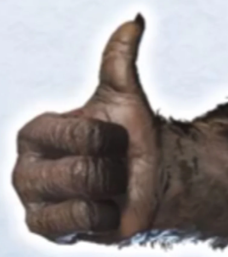 Why is it that all of our mhwi rajang renders but one has him doing ...