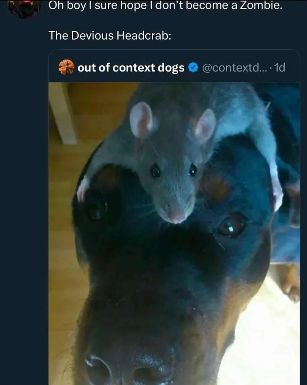 Daily Meme 108 Headcrab Fandom