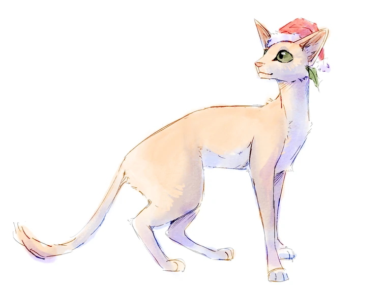 MERRY CHRISTMAS [CLOSED] | Fandom