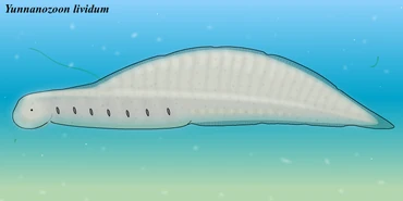 Dinopedia makes a zoo! Part 4: Cambrian Oddities! Top 2 make it in ...