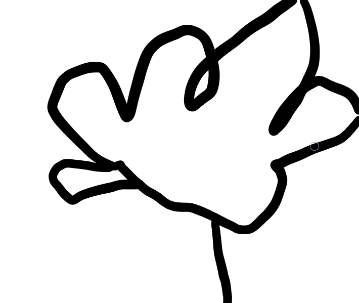 post random images here | Fandom