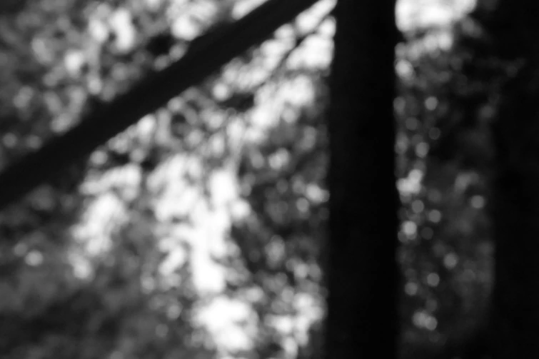 Hello People Humans | Fandom