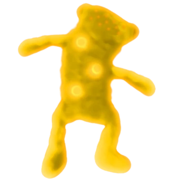 Witch nightbear is best | Fandom