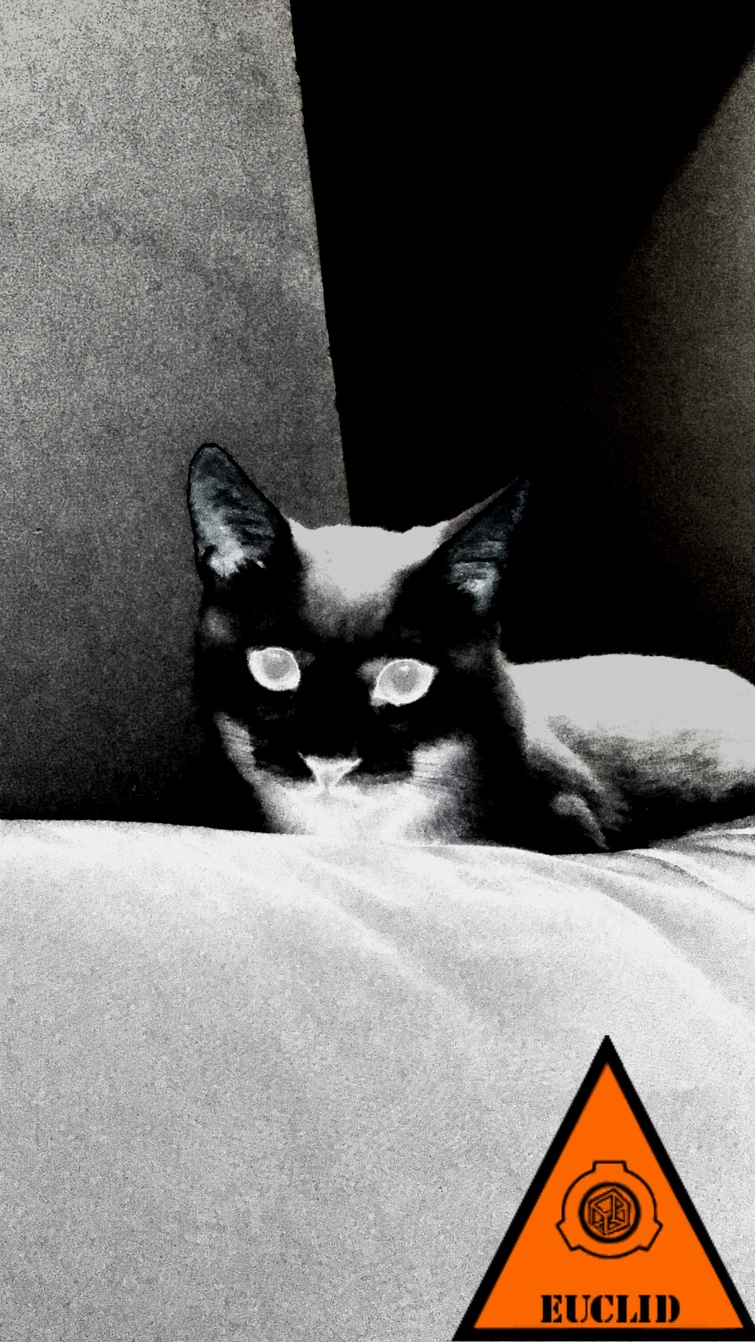 Discuss Everything About SCP Fanon Wiki | Fandom