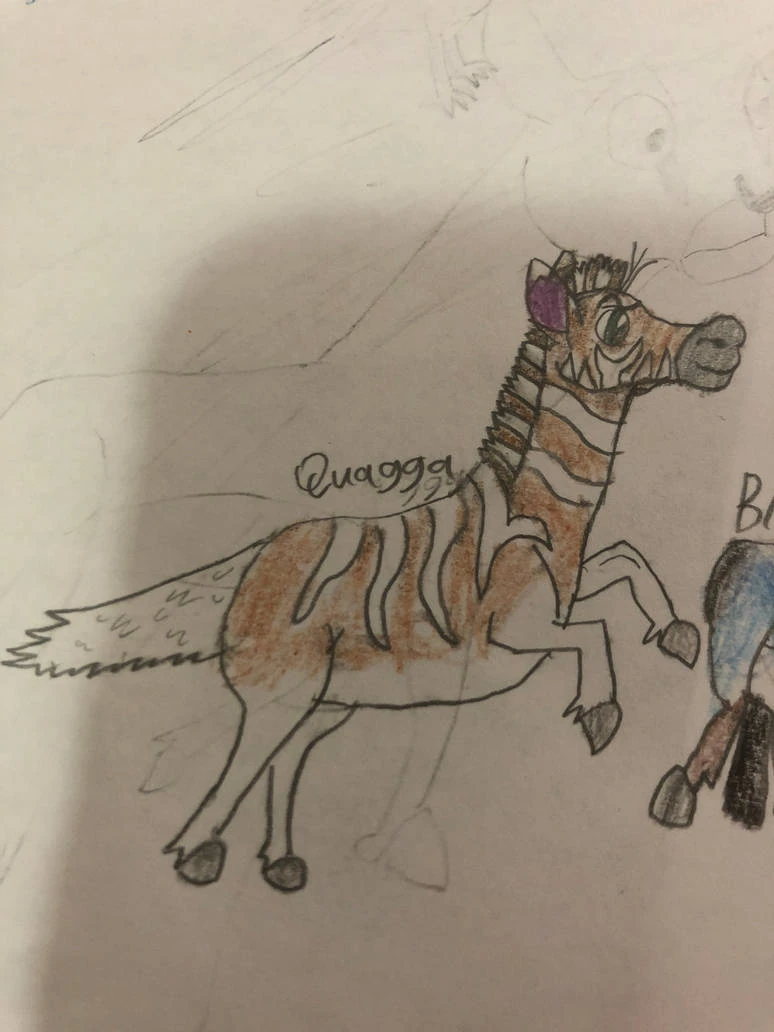 Quagga drawing | Fandom