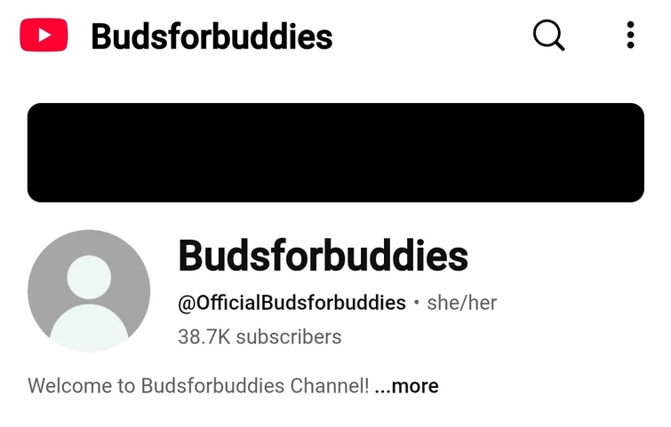 Discuss Everything About Official Budsforbuddies Wiki | Fandom