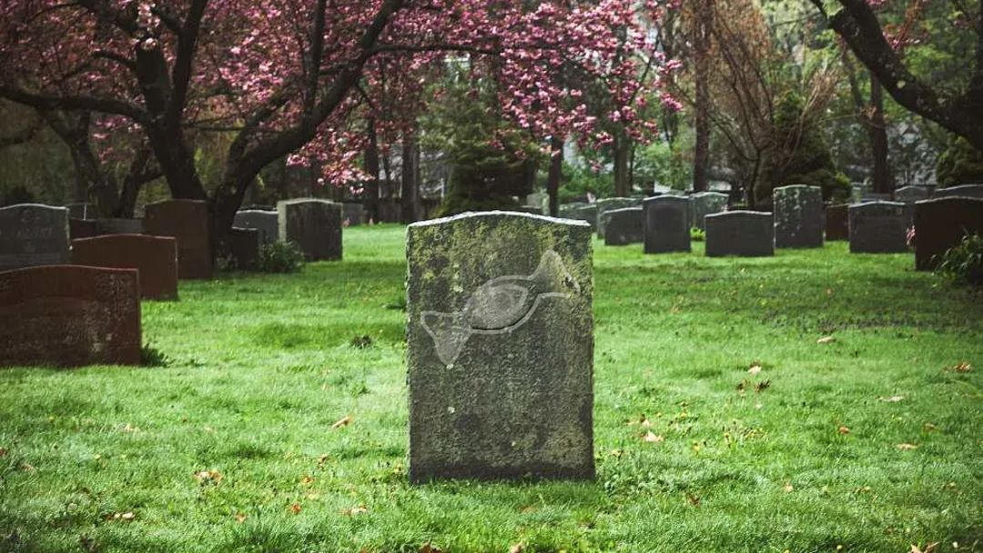 R.I.P. Enigma Candy | Fandom