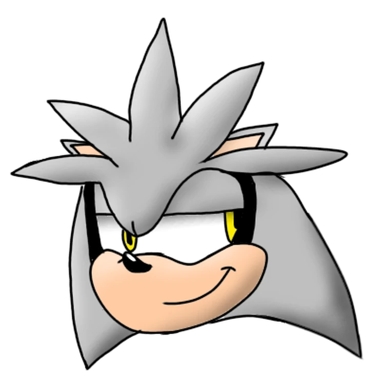 Make random doodles of sonic characters and I will rate them | Fandom