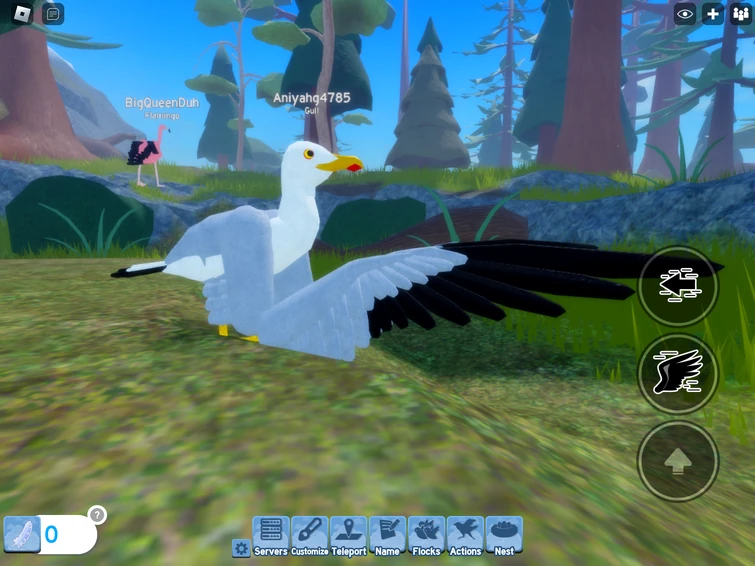 BIRD WING ERROR | Fandom